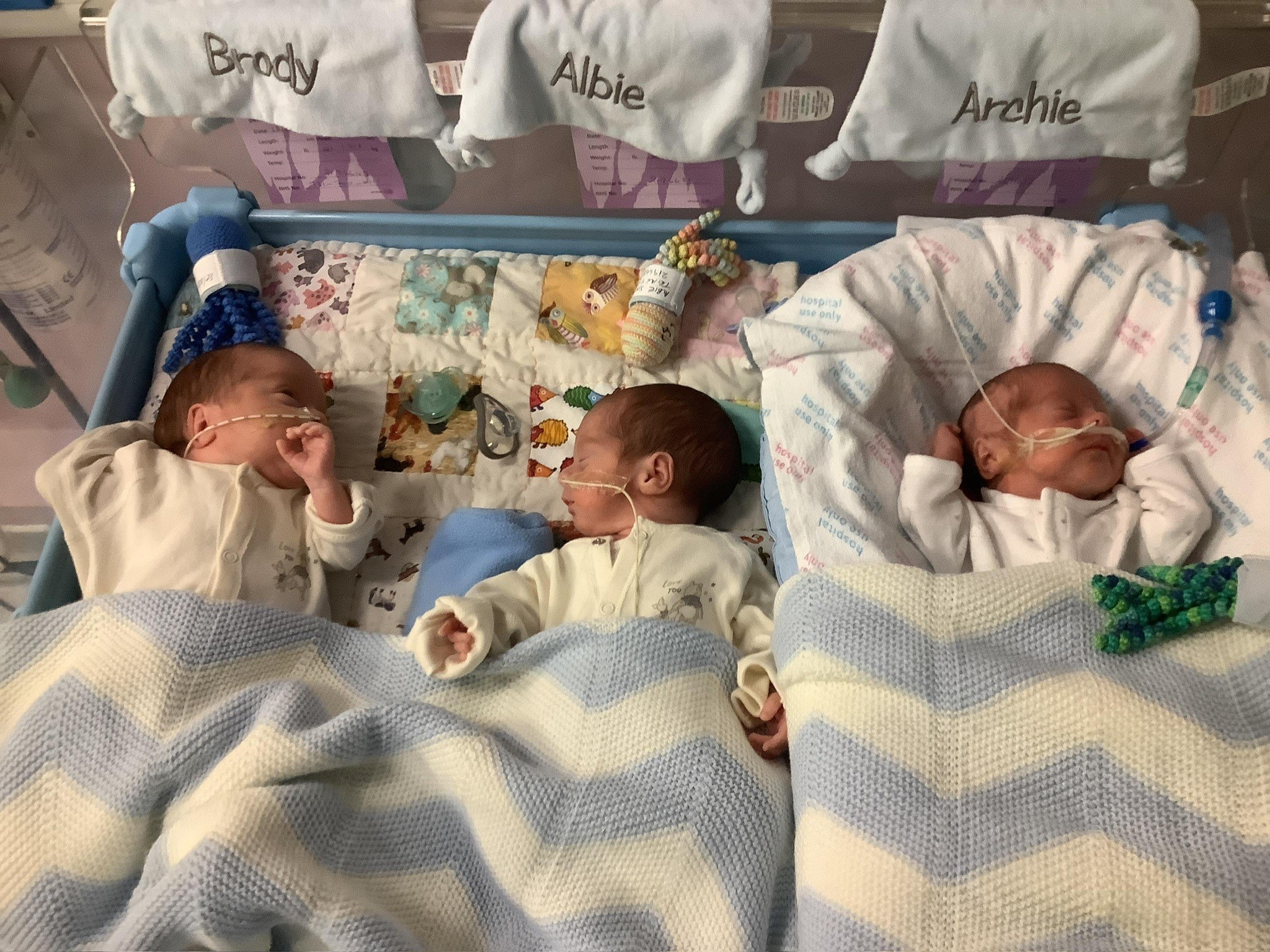 Family join Walk for Wards after triplets spent five weeks on Neonatal ...